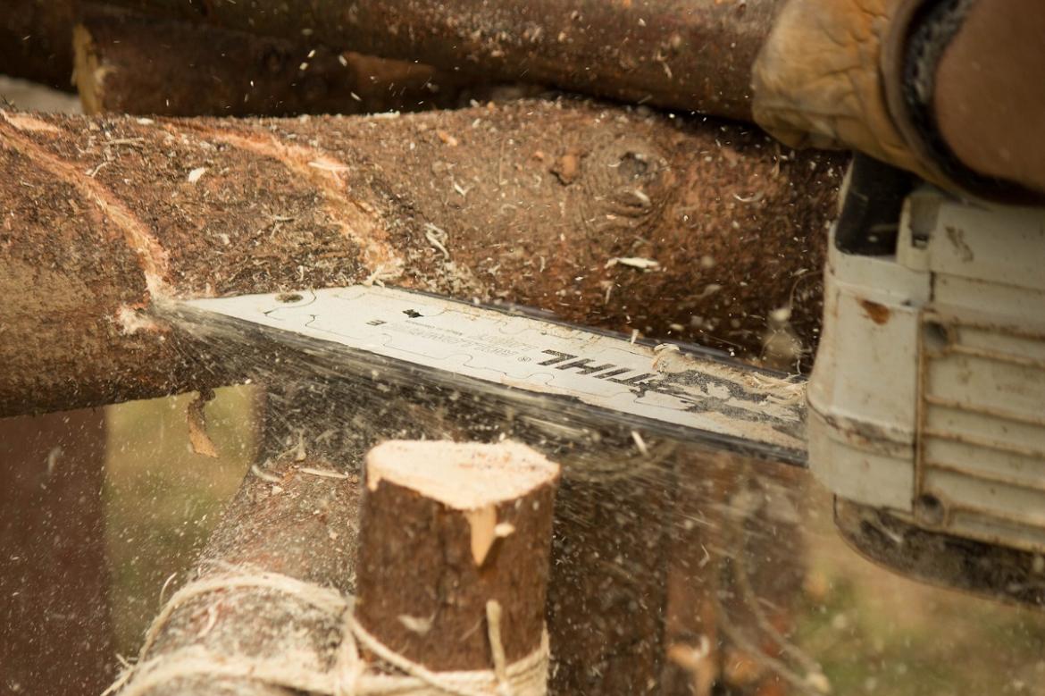 Chainsaw injuries tied to illegal logging | Frontier Myanmar